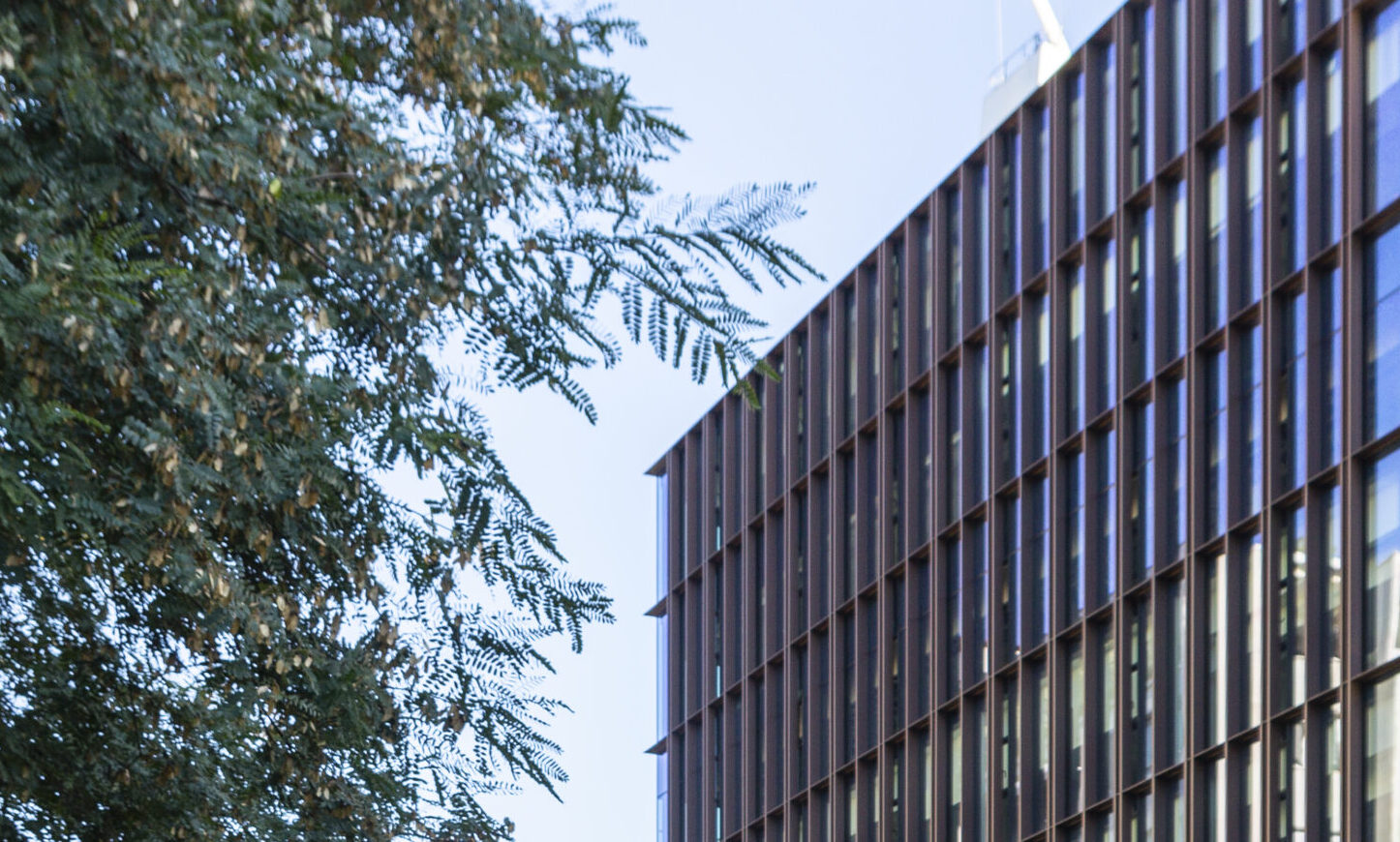 El compromiso de MIMEISA con la huella de carbono: la importancia de ...